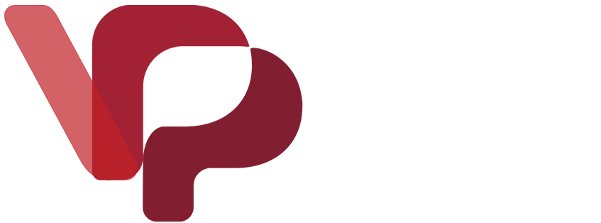 Publications - The Violence Project